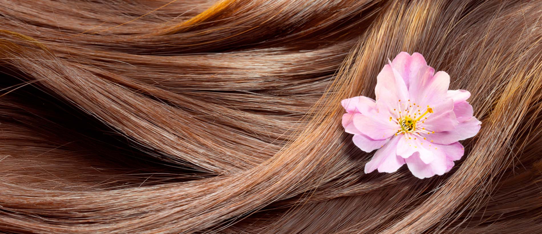How Long Should You Wait Between Hair Color Treatments 